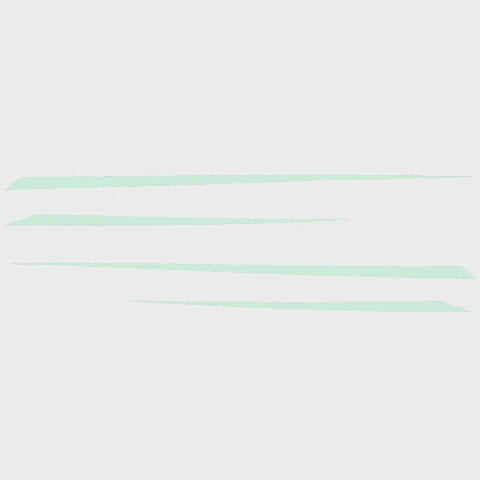 Chaparral Boat Graphic Decals 14.02625 | 25/29 Surf Mint Sticker (4Pc ...