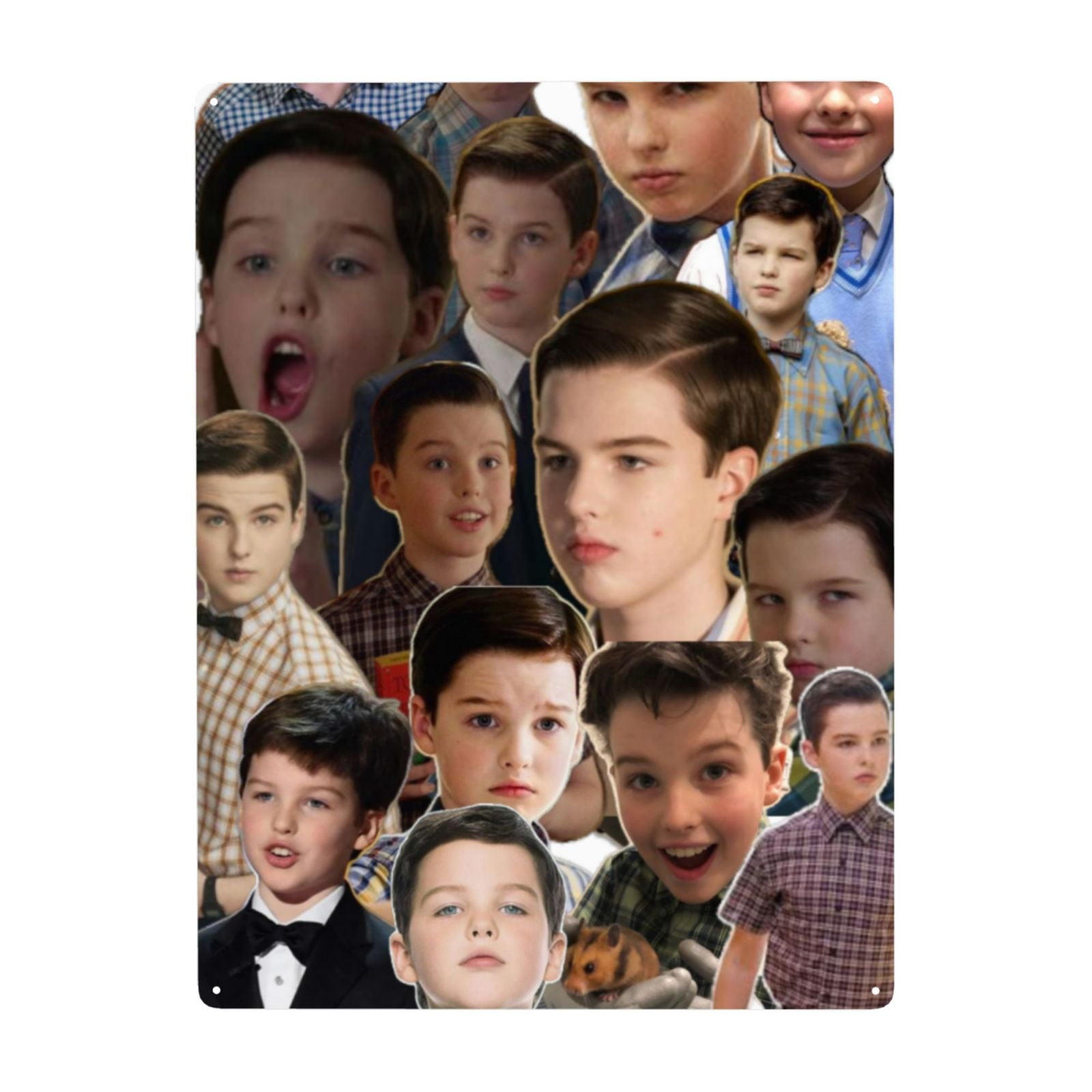 Character Young Sheldon Metal Sign Decor 30x40cm Wall Art Sign for Home ...