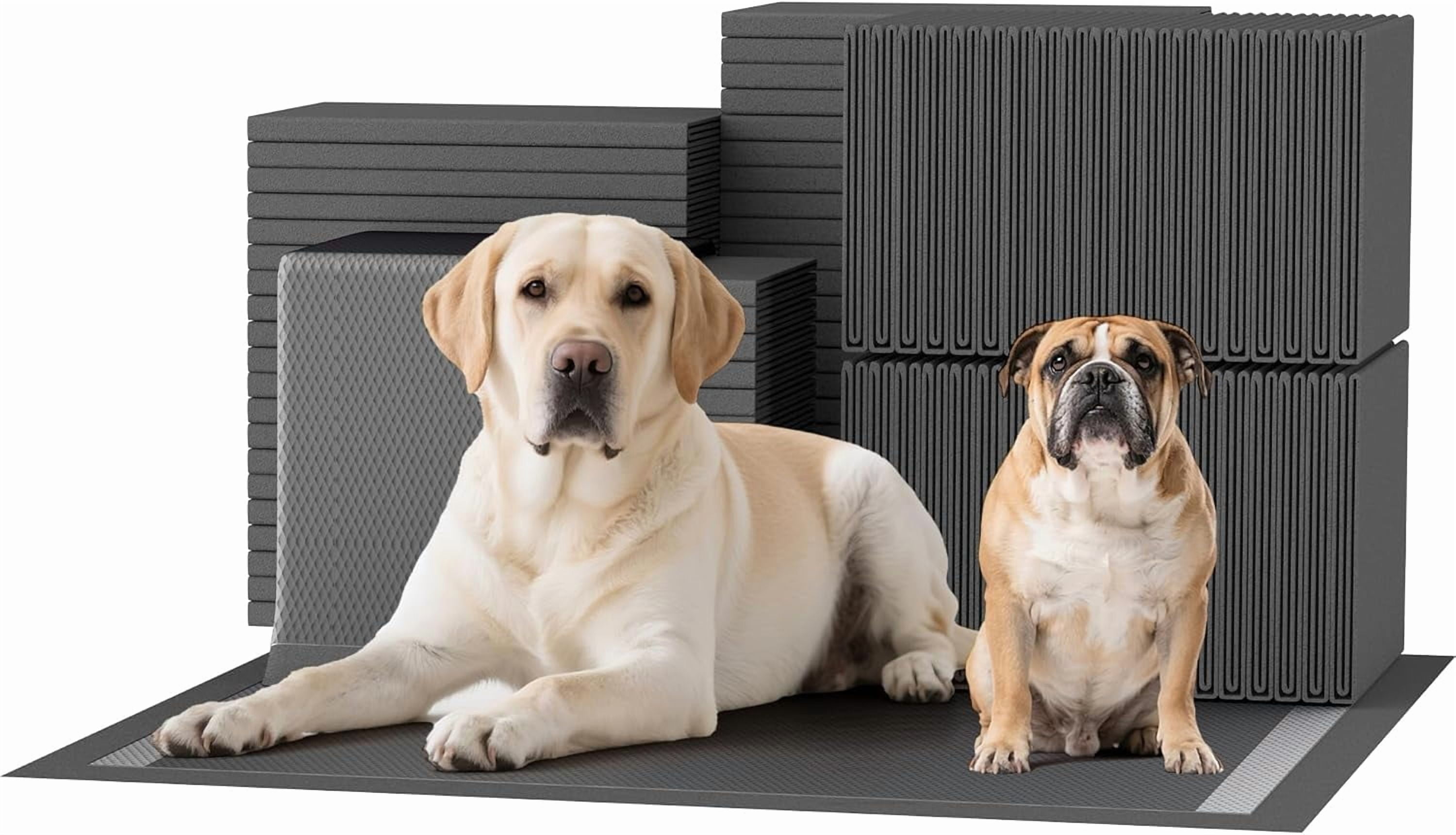 Charcoal Absorbency Puppy Pads, Activated Odor-Control XXXL 36"x36 ...