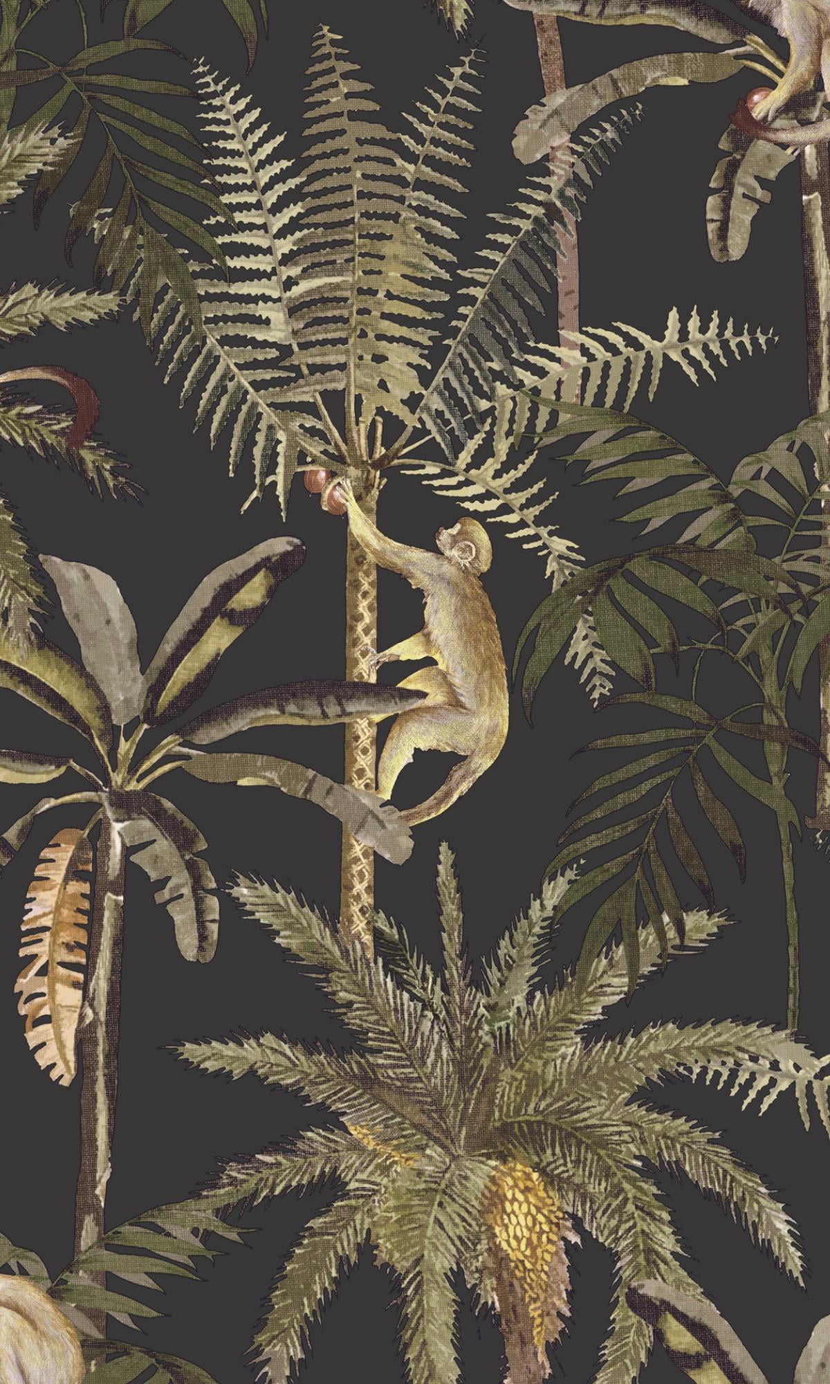 Charcoal Monkey Climbing in the Trees Tropical Wallpaper - Walmart.com