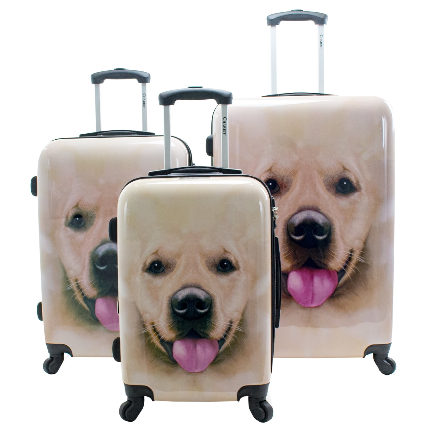 Chariot Dog 3-Piece Expandable Hardside Light Spinner Luggage Set ...