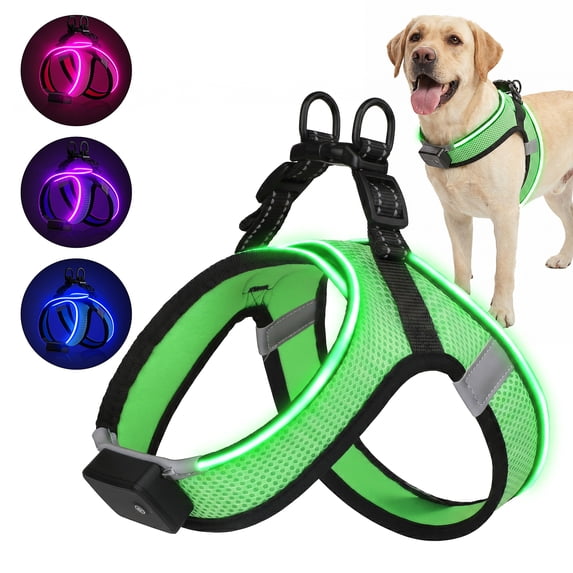 Charkool Reflective Dog Harness & Leash Set for Extra Small Dogs ...