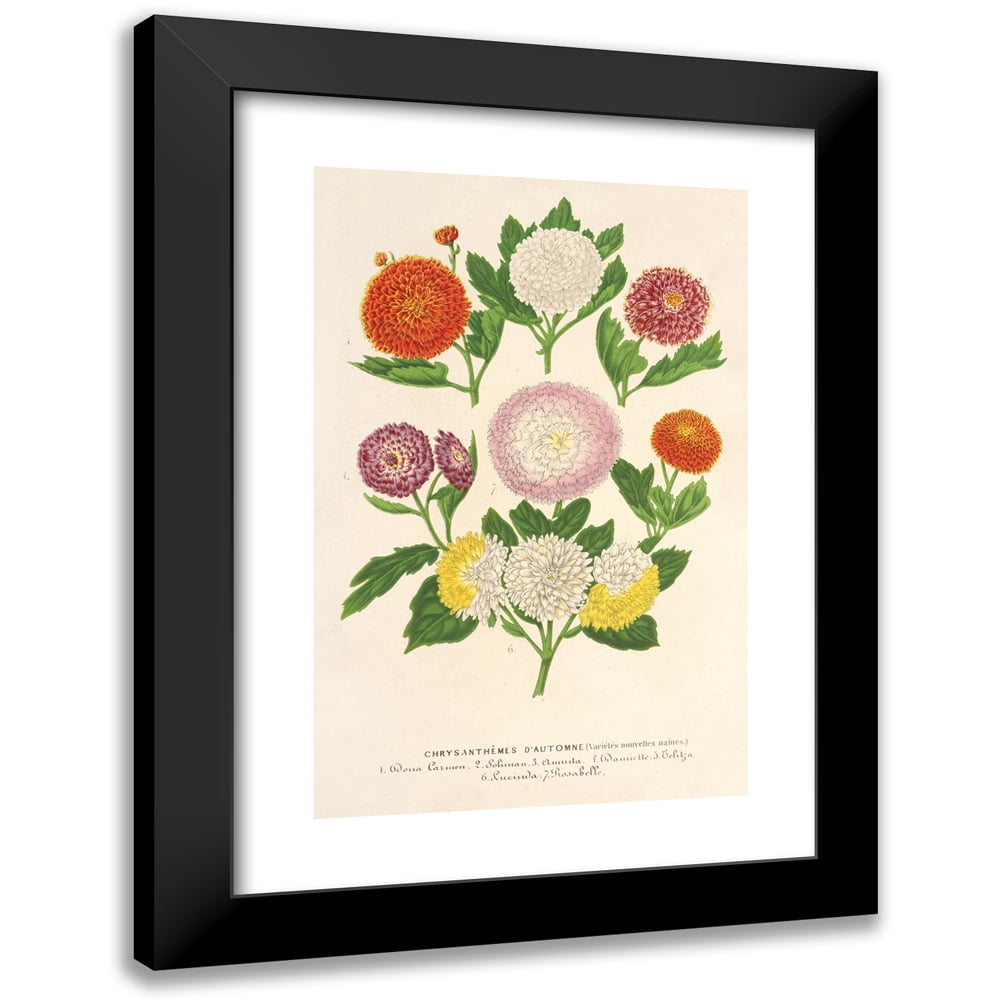 Charles Antoine Lemaire 11x14 Black Modern Framed Museum Art Print ...