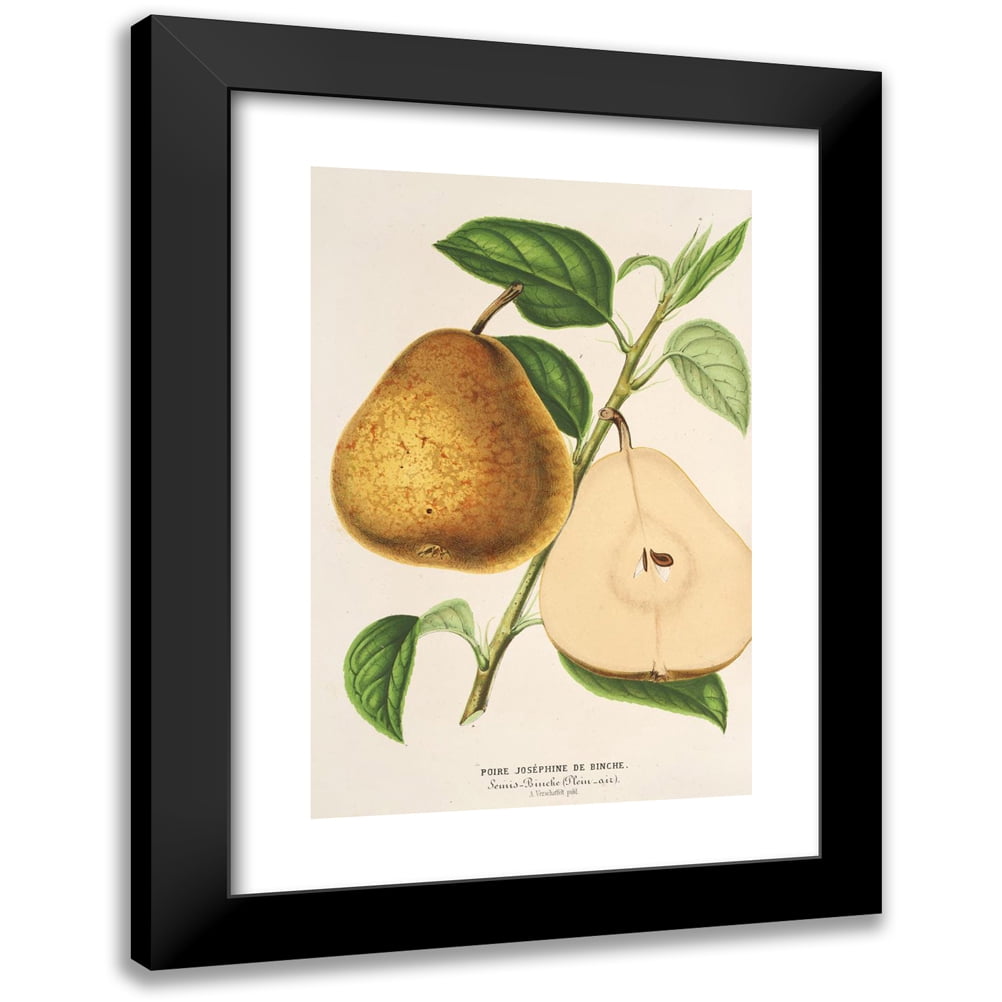 Charles Antoine Lemaire 17x24 Black Modern Framed Museum Art Print ...