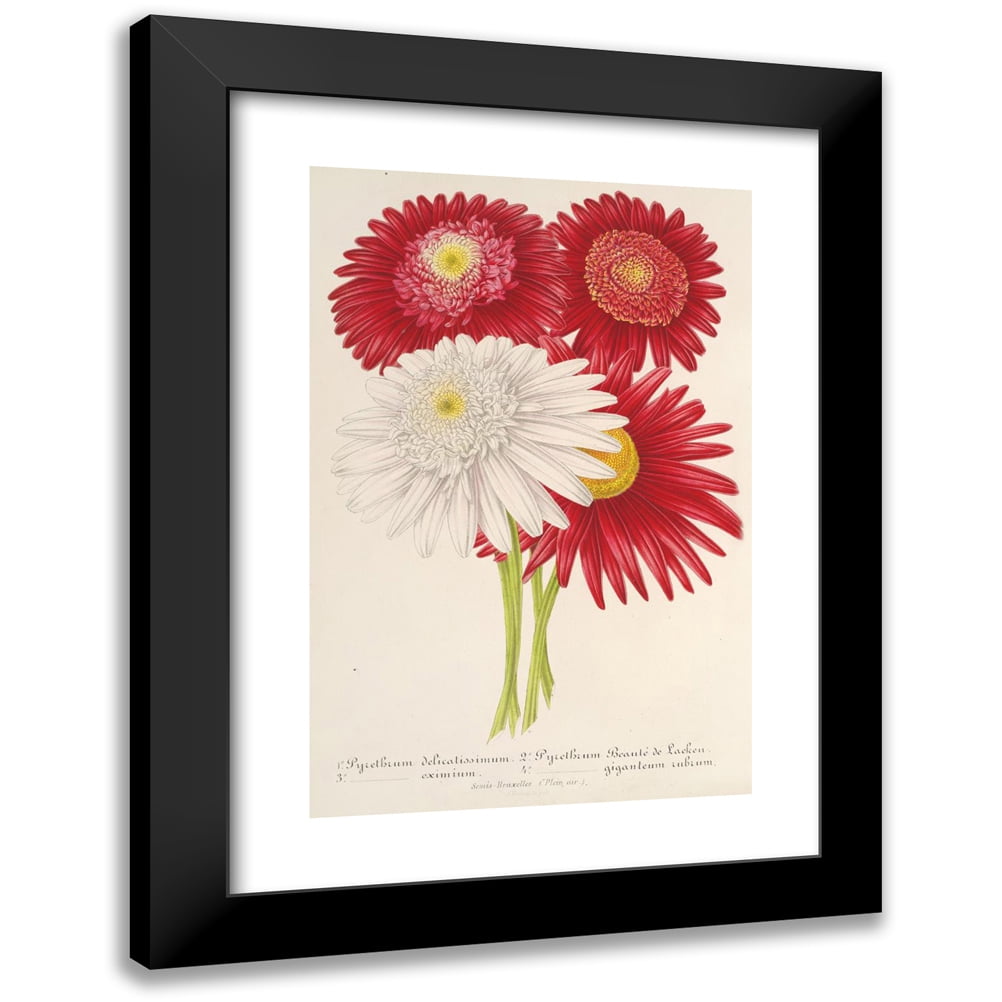 Charles Antoine Lemaire 17x24 Black Modern Framed Museum Art Print ...