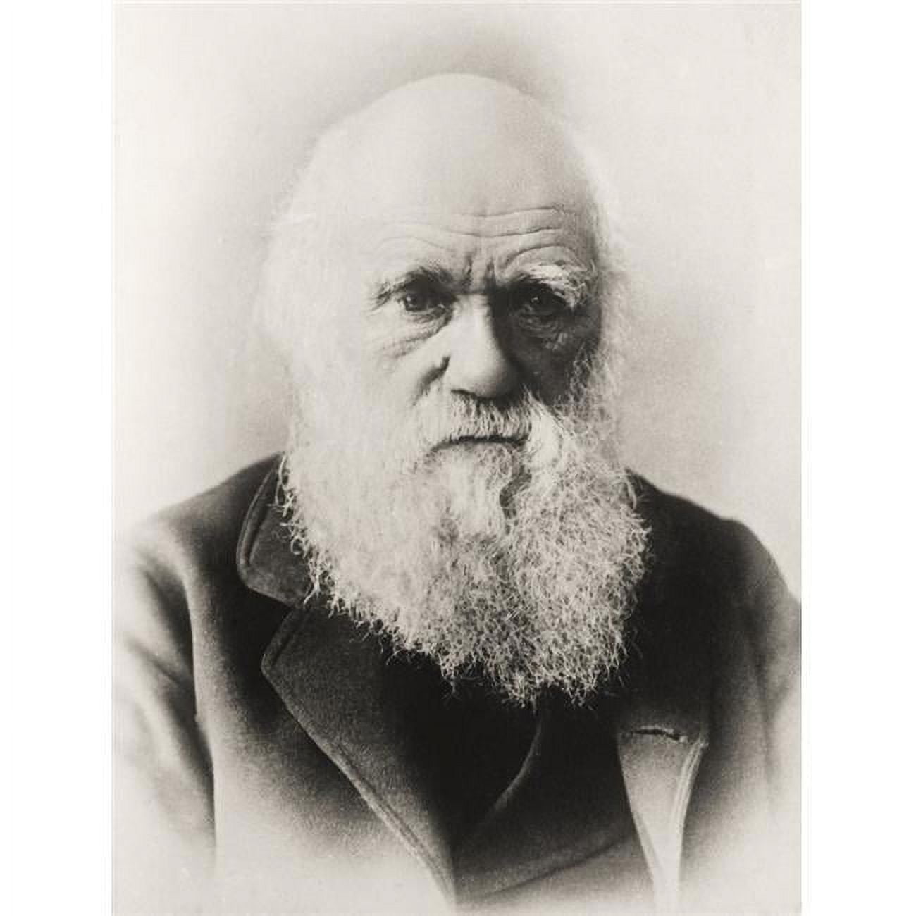 Charles Darwin 1809 1882 English Naturalist In Old Age Poster Print ...