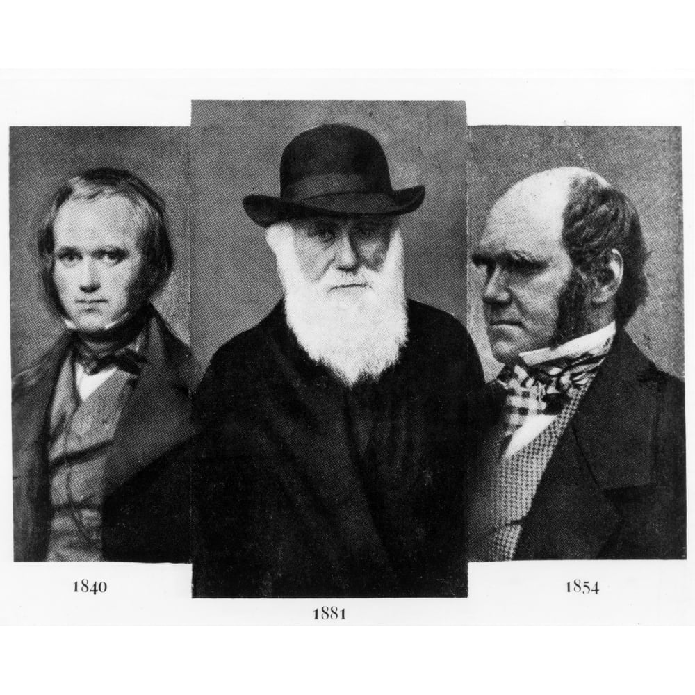 Charles Darwin History Poster Print - Walmart.com