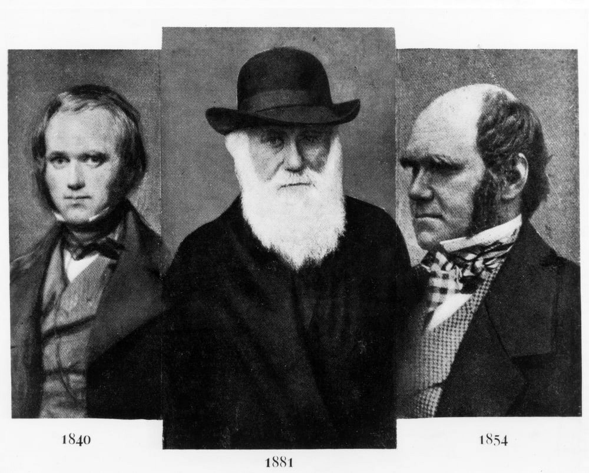 charles-darwin-1809-1882-history-24-x-18-walmart