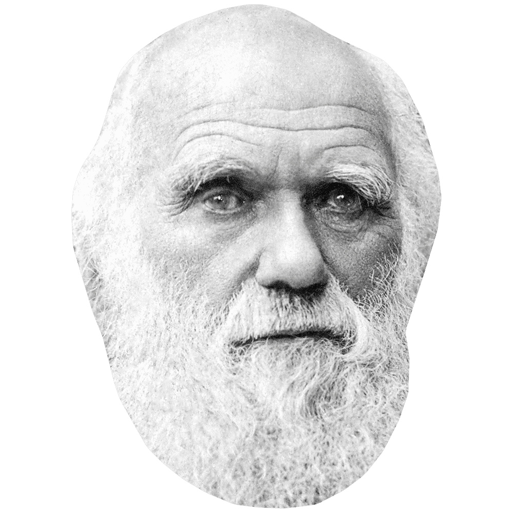 Charles Darwin (Beard) Flat Cardboard Face - Walmart.com
