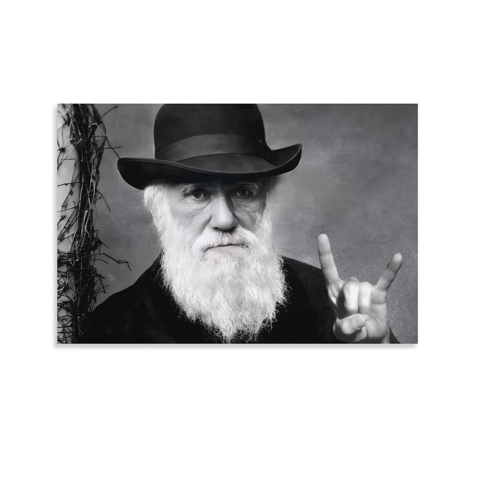 Charles Darwin Biologist Poster Artworks Picture Print Poster Wall Art ...