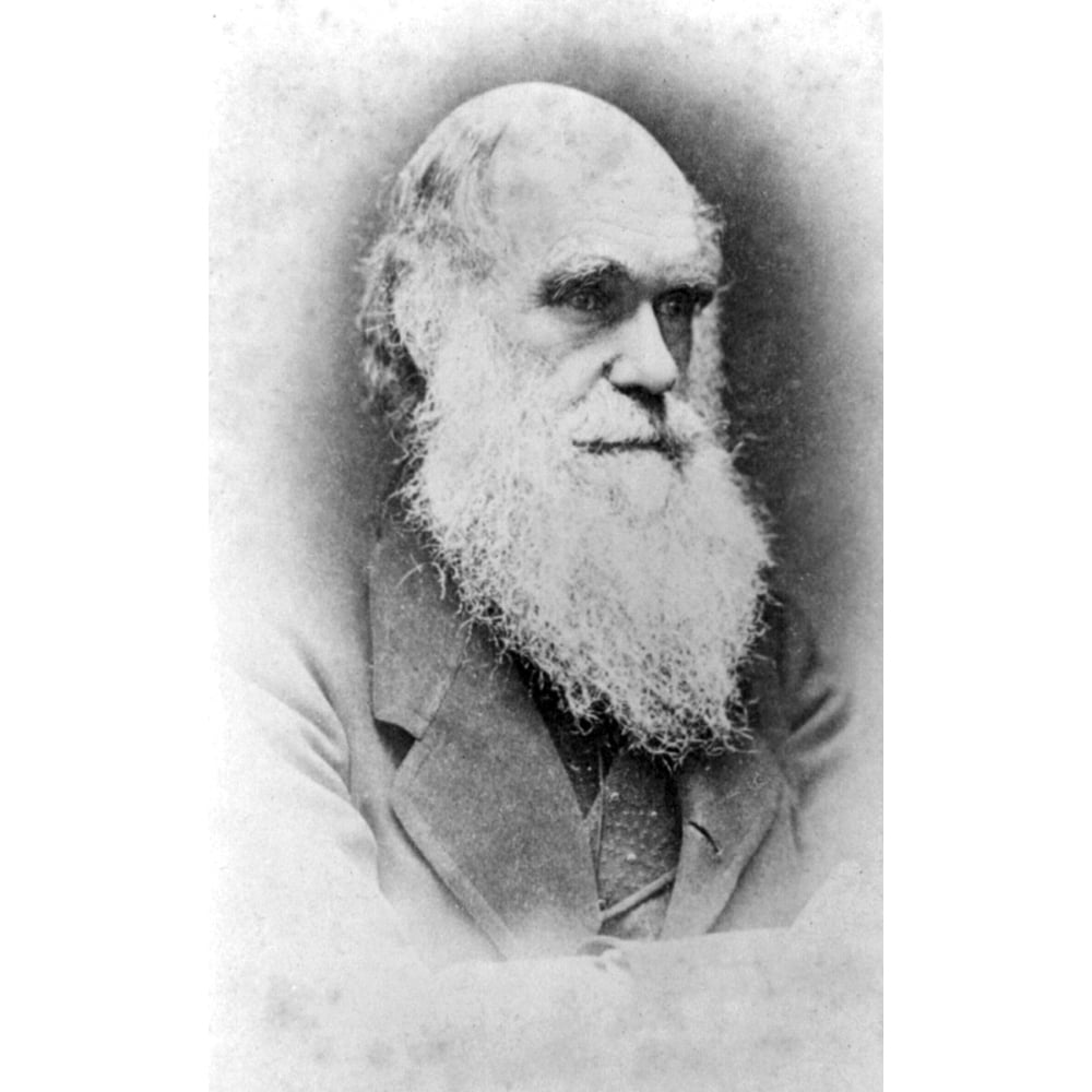 Charles Darwin History (18 x 24) - Walmart.com