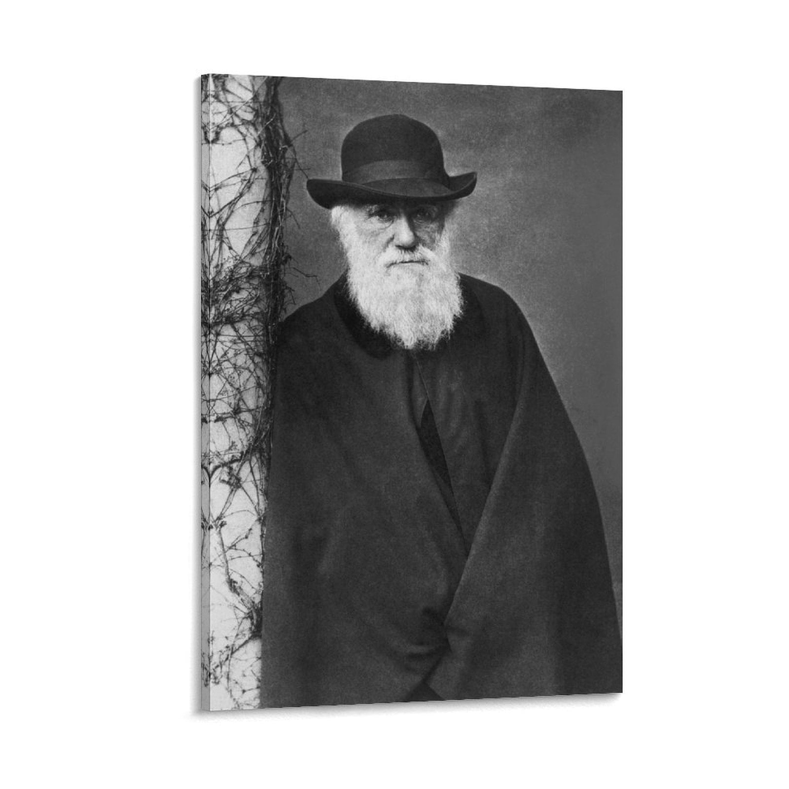 Charles Darwin Poster Picture Print Wall Art Poster Painting Canvas ...
