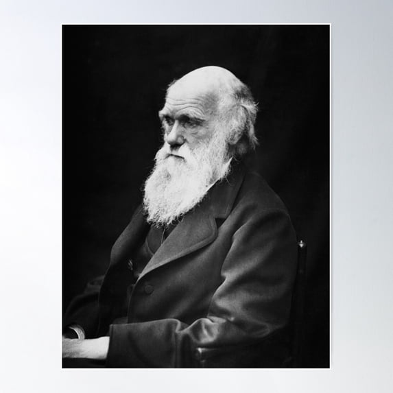 Charles Darwin Poster Wall Art, Modern Wall Decor For Living Room ...