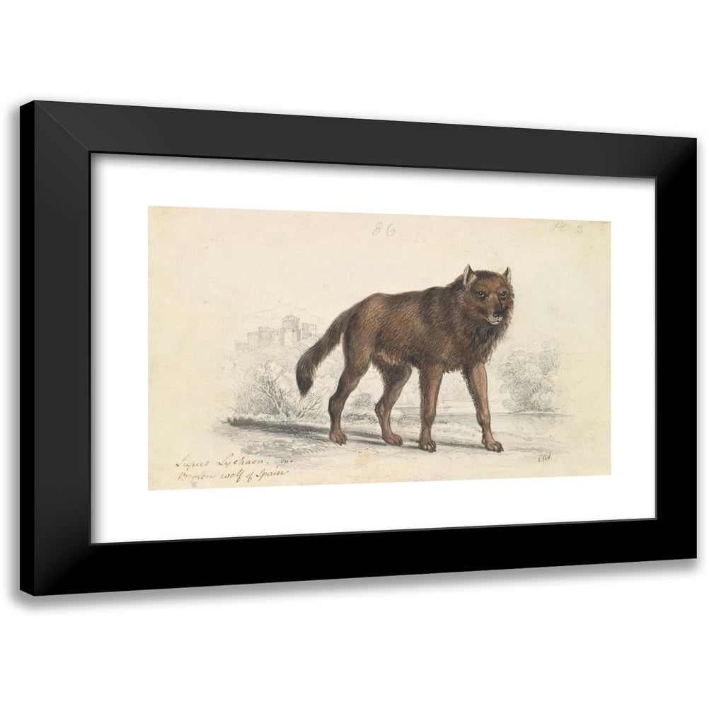 Charles Hamilton Smith 14x11 Black Modern Framed Museum Art Print ...
