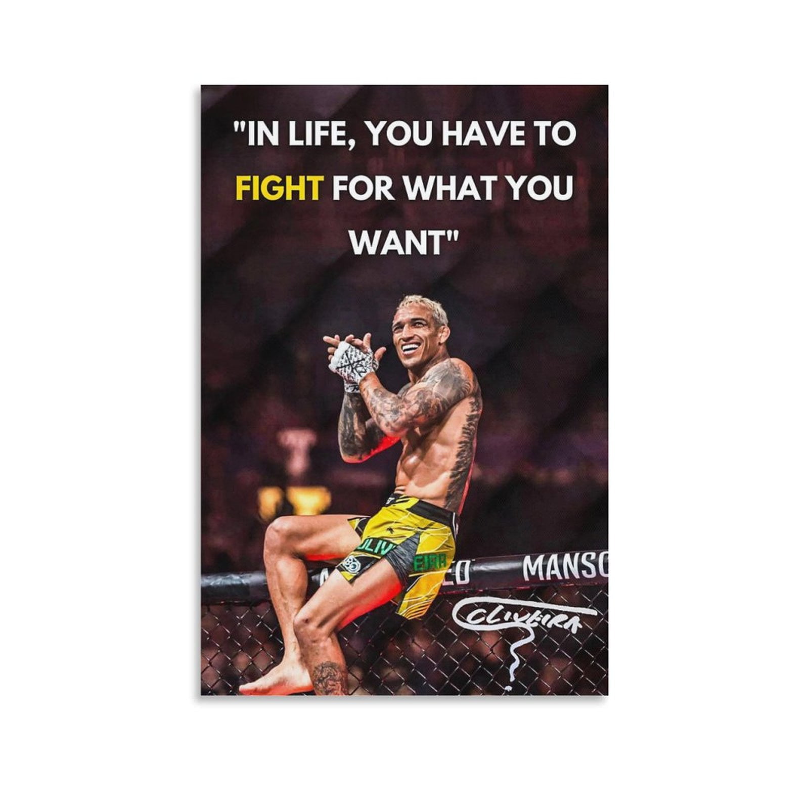 Charles Oliveira Boxer Poster 3 Posters Art Print Wall Photo Paint ...