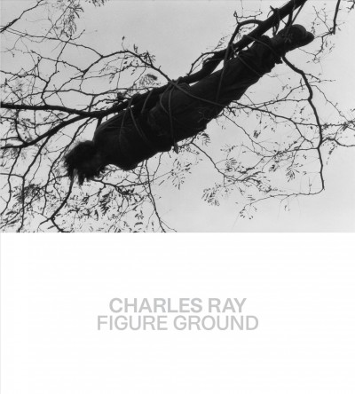Pre-Owned Charles Ray Figure Ground Paperback - Walmart.com