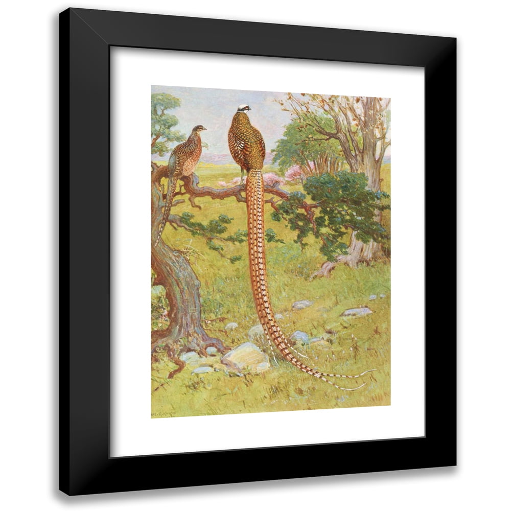 Charles Robert Knight 14x18 Black Modern Framed Museum Art Print Titled ...