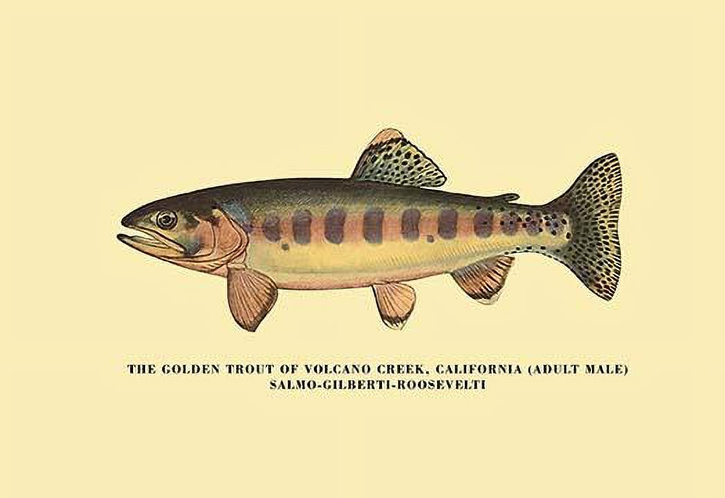 Charles Zibeon Southard penned a book about Trout fishing in America ...