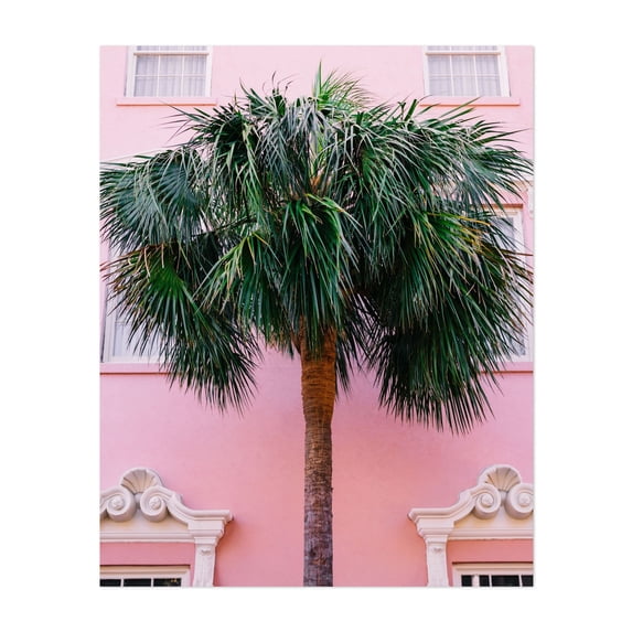 Charleston Pink - Charleston South Carolina Photography Palm Tree ...