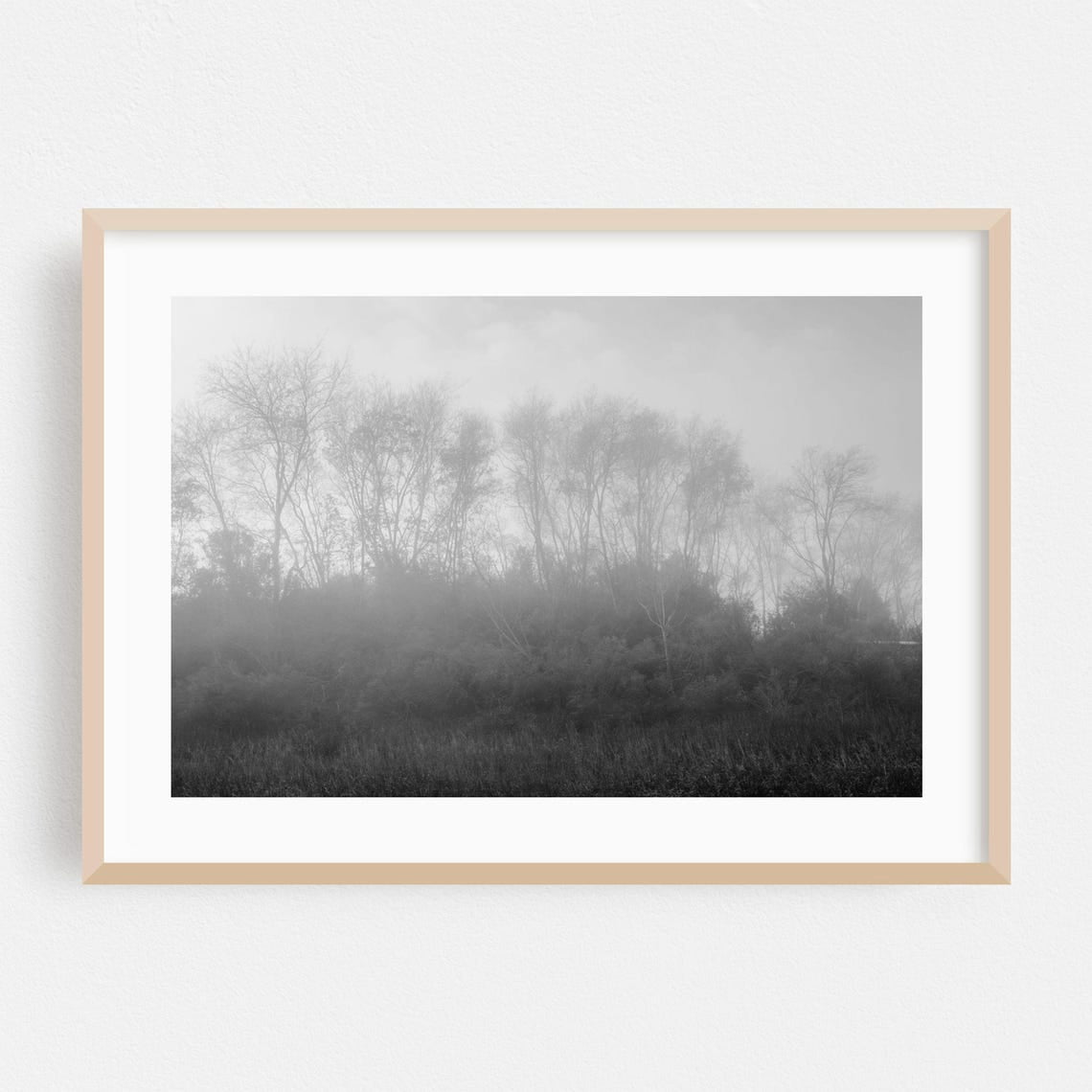 Charleston South Carolina Black and White Art Forest Nature Landscape ...