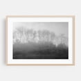 Charleston South Carolina Black and White Art Forest Nature Landscape ...