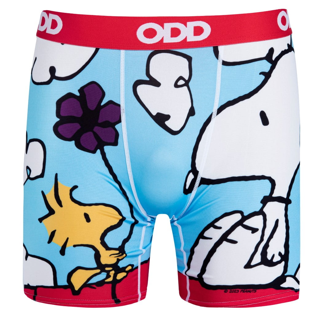Charlie Brown Peanuts Comic Boxer Brief for Men, Snoopy & Woodstock ...