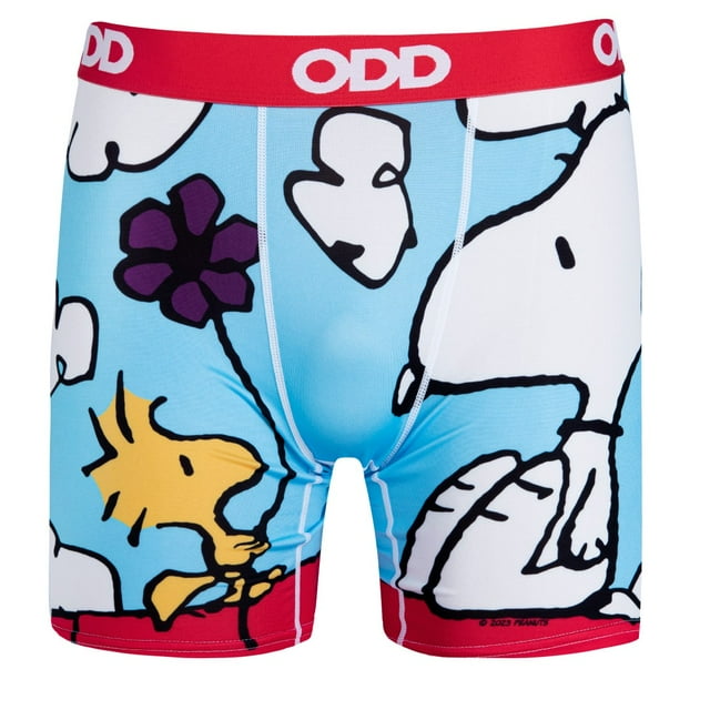 Charlie Brown Peanuts Comic Boxer Brief for Men, Snoopy & Woodstock ...