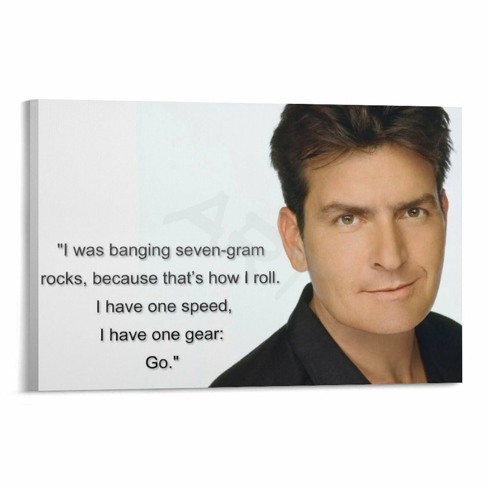 Charlie Sheen American Actor Portrait Quotes Poster (1) Canvas for ...