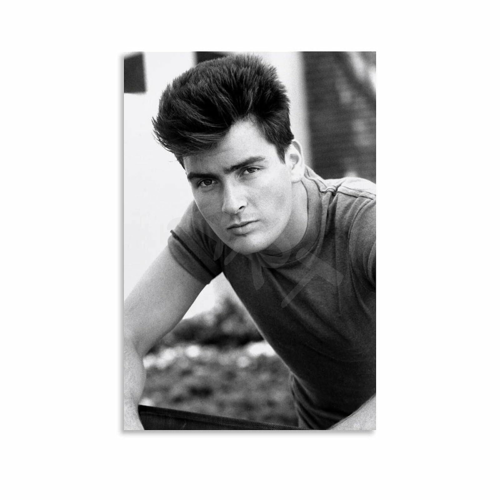 Charlie Sheen American Actor Portrait Quotes Poster (2) Canvas Painting ...