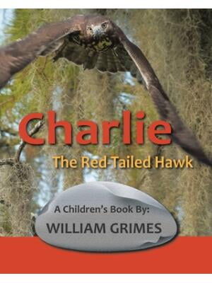 Charlie the Red-Tailed Hawk - Walmart.com