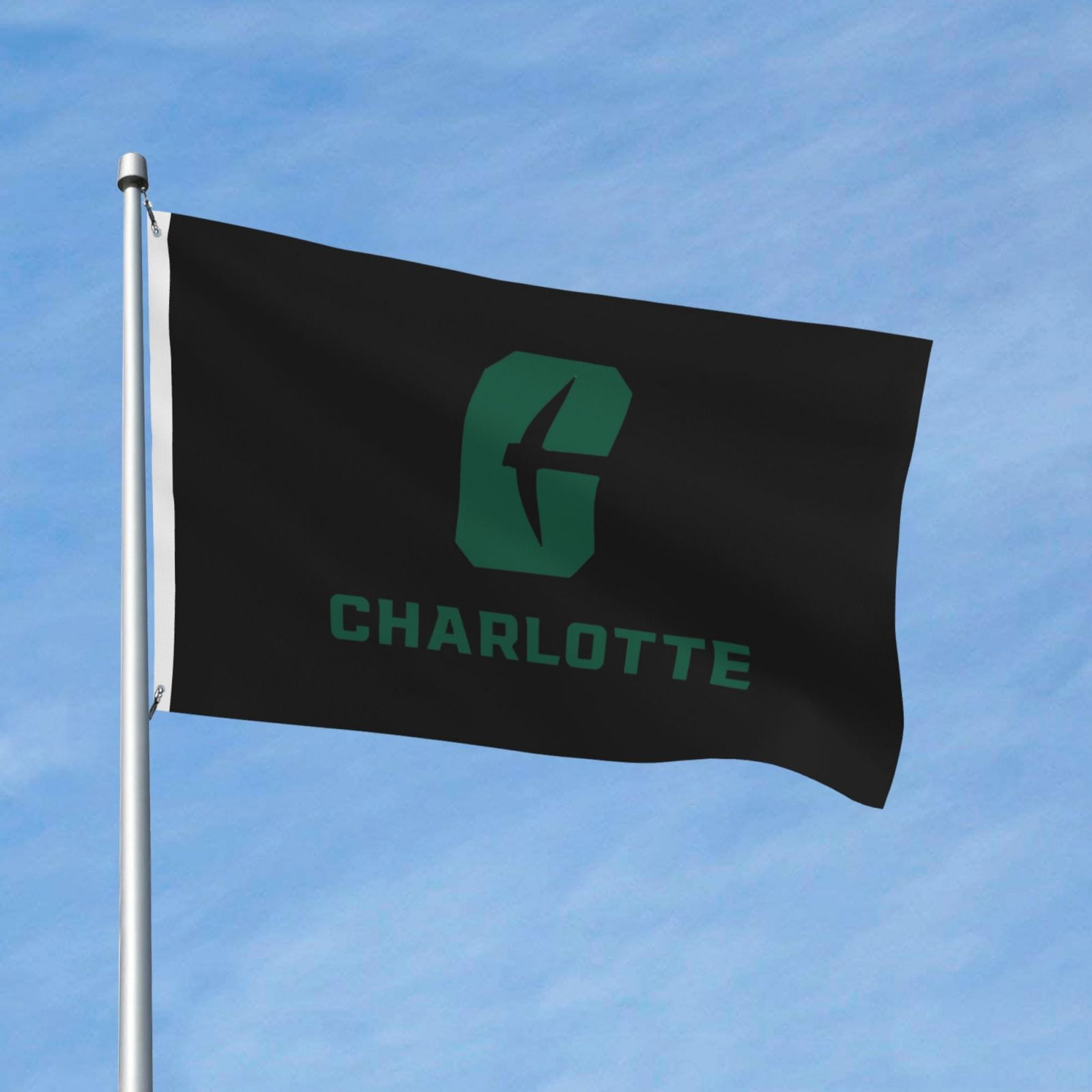 Charlotte 49ers Original Banner 3x5 Ft Flag,Double Sided Printed Flag ...