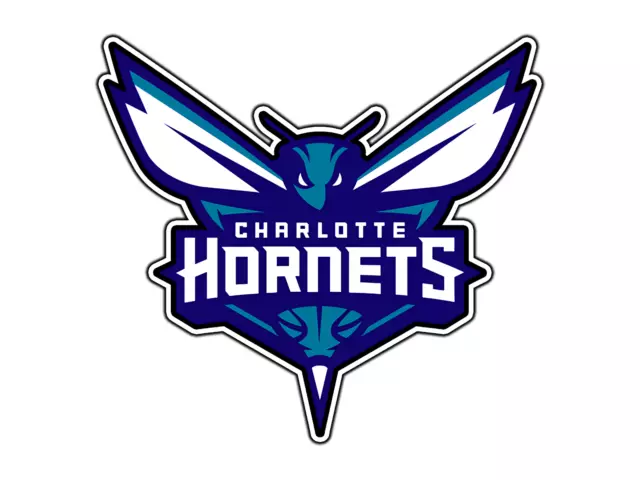 Charlotte Hornets Logo Basketball Waterproof Sticker Phone Decal Water ...