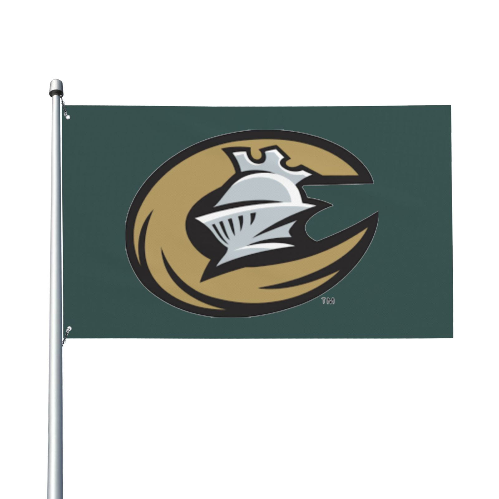 Charlotte Knights Logo Flag 3x5 Outdoor ,Sewn Stripes, Stronger Brass ...