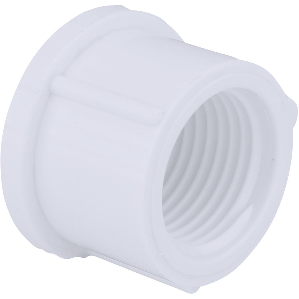 Charlotte Pipe 3 In. FIP Schedule 40 Threaded PVC Cap PVC 02117 2200HA ...