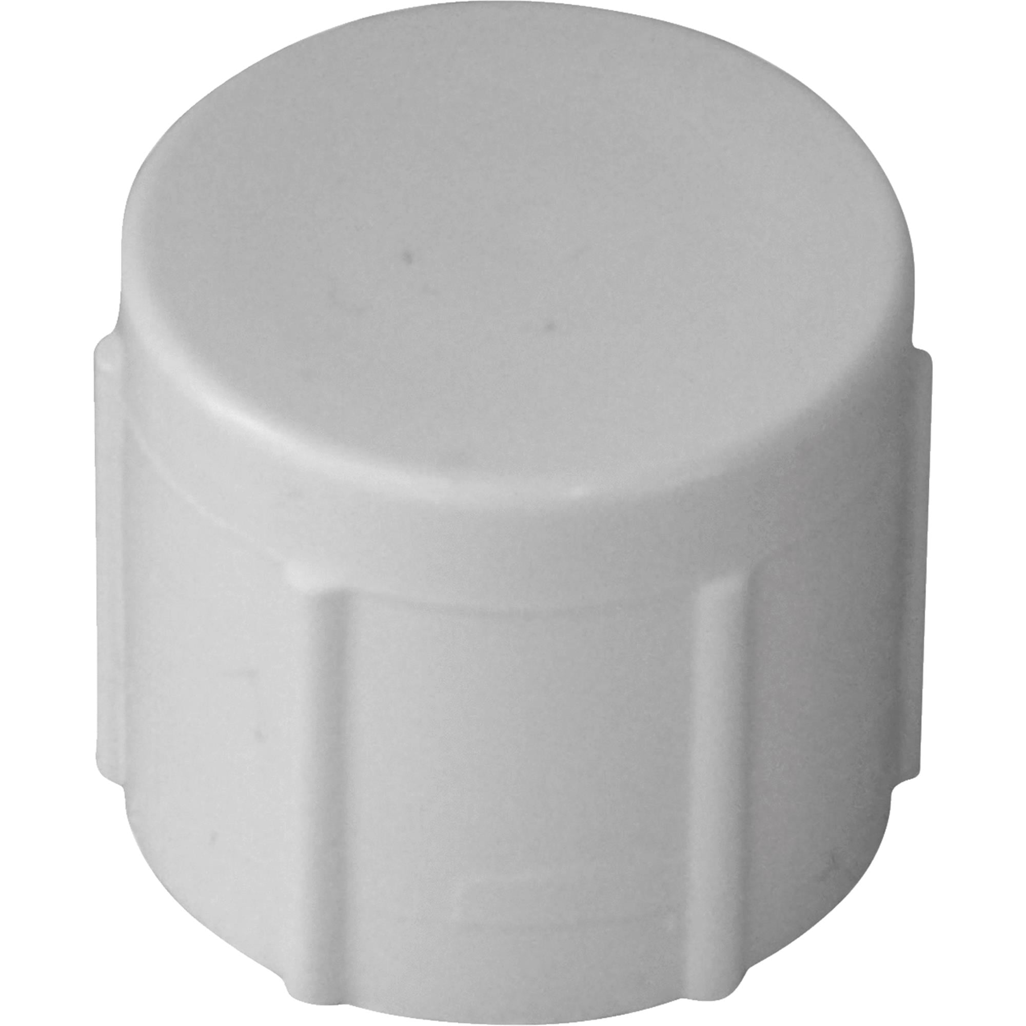 Charlotte Pipe 3 In. FIP Schedule 40 Threaded PVC Cap PVC 02117 2200HA ...