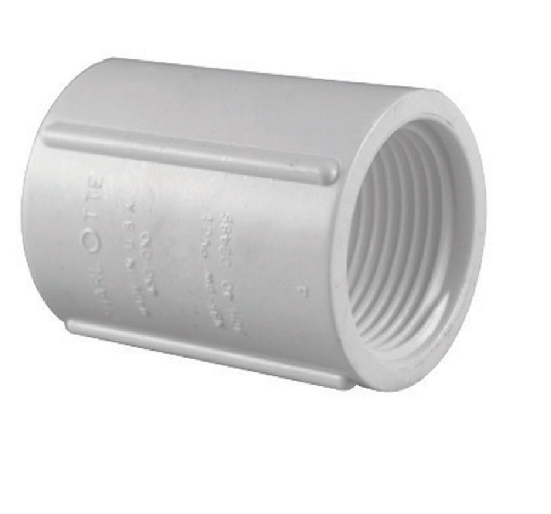 Charlotte Pipe PVC 02102 0500HA PVC Pipe Coupling, White, Each ...