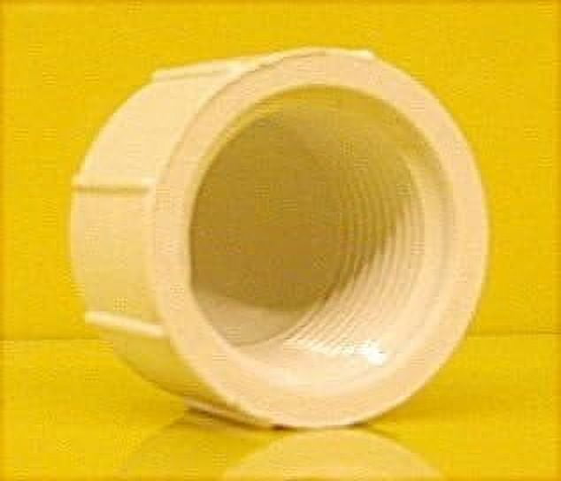 Charlotte Pipe Schedule 40 1-1/2 in. FPT x 1-1/2 in. Dia. FPT PVC Cap - Walmart.com