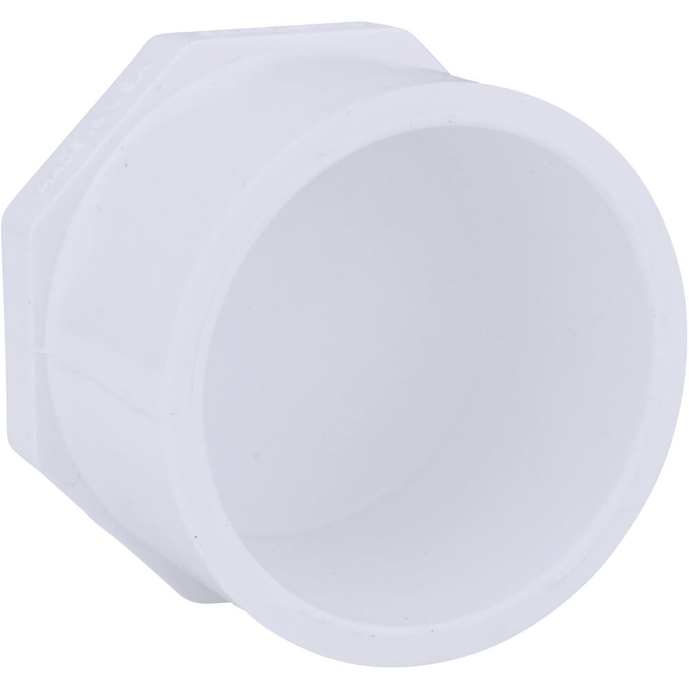 Charlotte Pipe Schedule 40 2 in. Spigot PVC Spigot Plug PVC 02118 ...