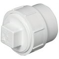 Charlotte Pipe Schedule 40 4 in. Spigot FPT PVC Cleanout Adapter ...