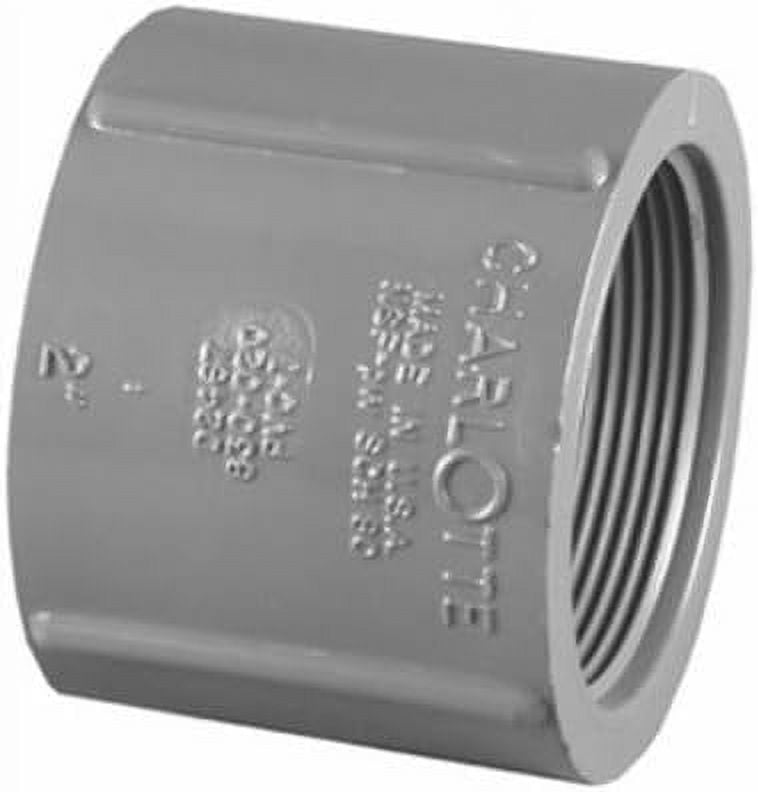 Charlotte Pipe Schedule 80 1/2 in. FPT x 1/2 in. Dia. FPT PVC Coupling - Walmart.com