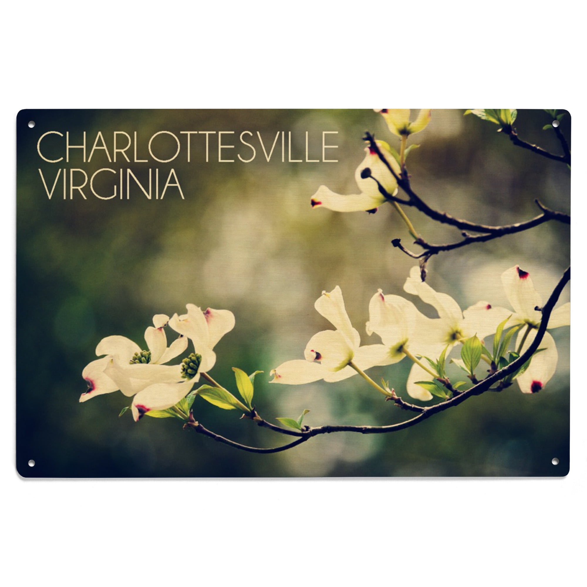 Charlottesville, Virginia, Dogwoods in Bloom Birch Wood Wall Sign (6x9 ...