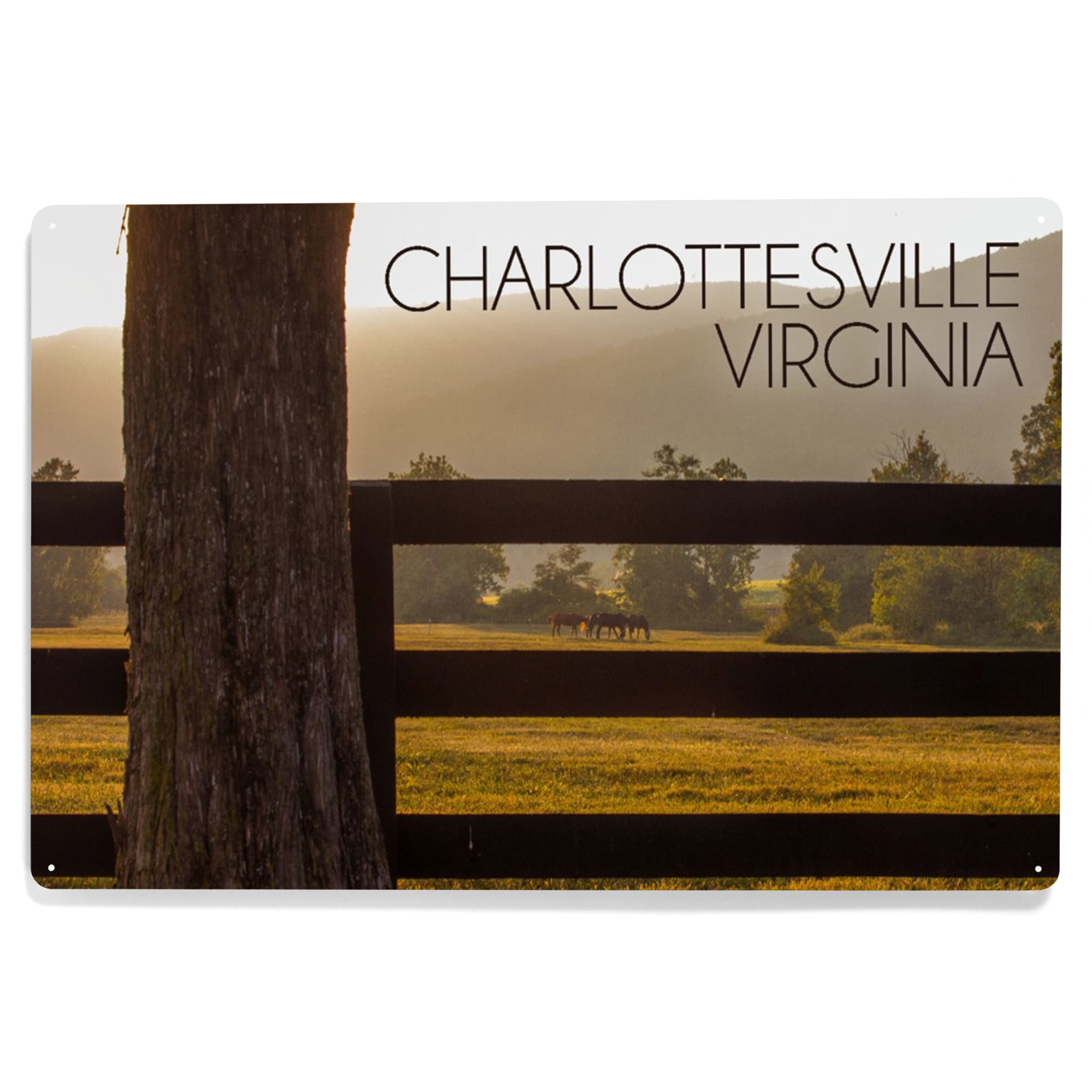 Charlottesville, Virginia, Horses and Fence (12x18 Aluminum Art, Indoor ...
