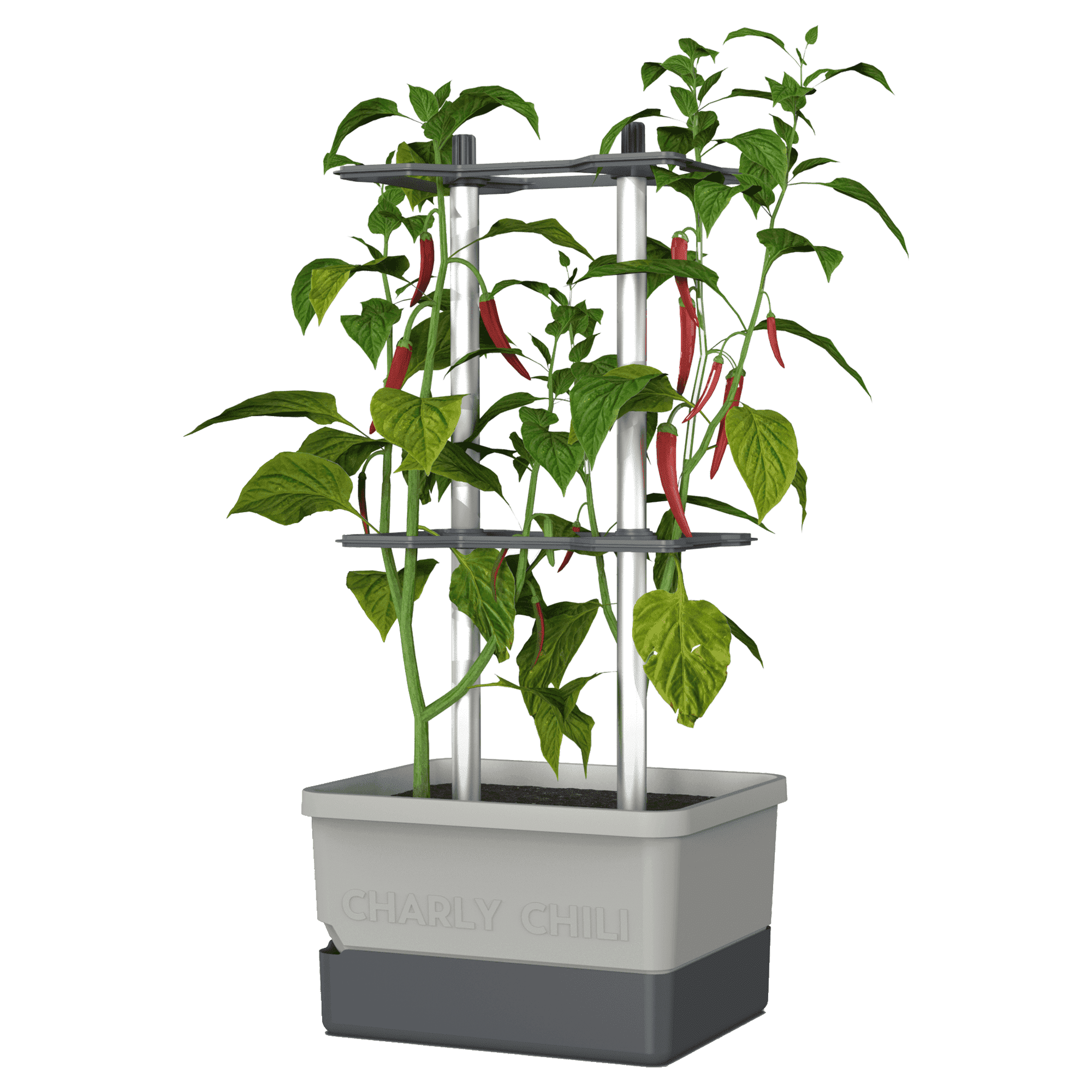 BUZZY Seeds Charly Chili Self-Watering Planter with Vertical Trellis ...