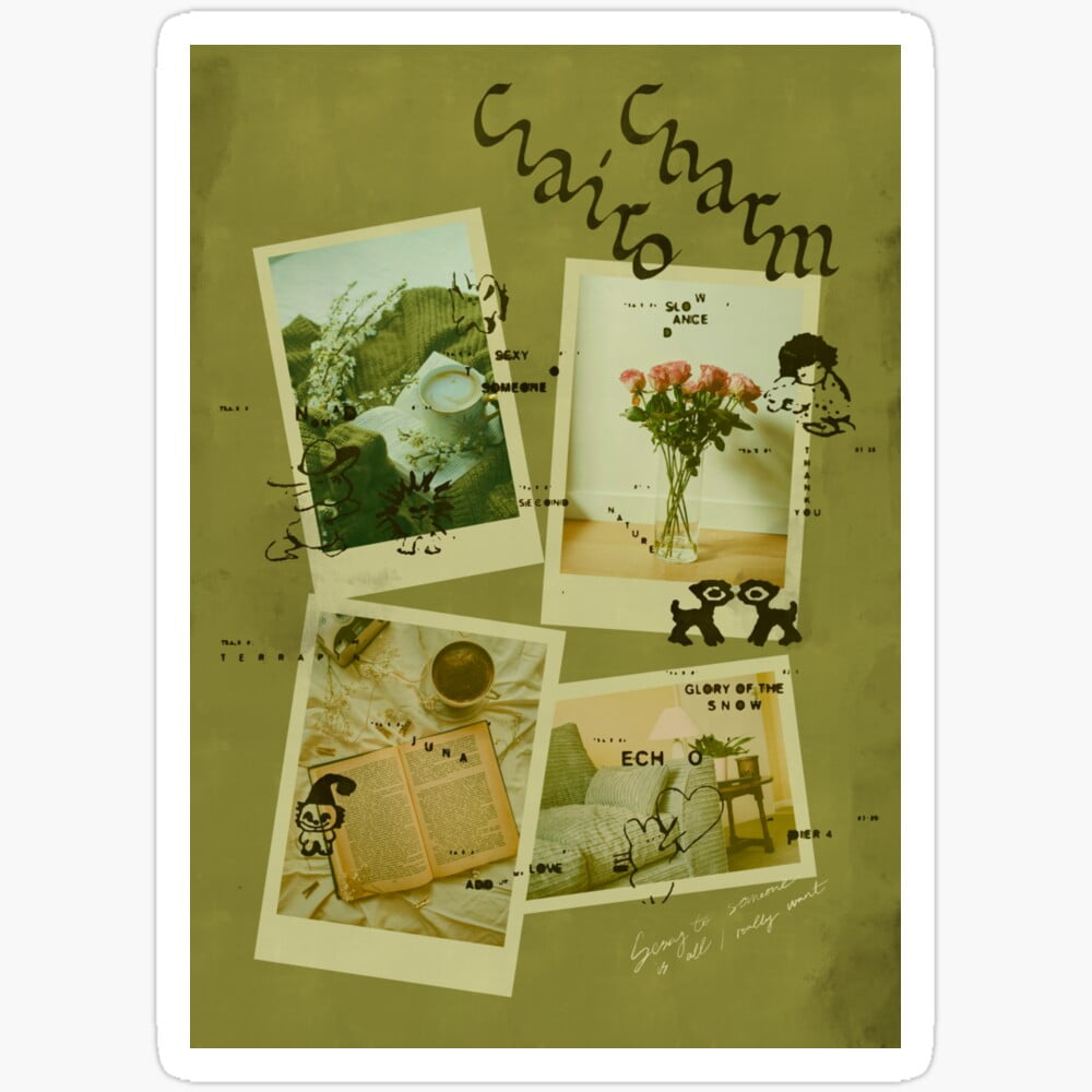 Charm Clairo Sticker Phone Decal Water Bottle Stickers Car Decals ...