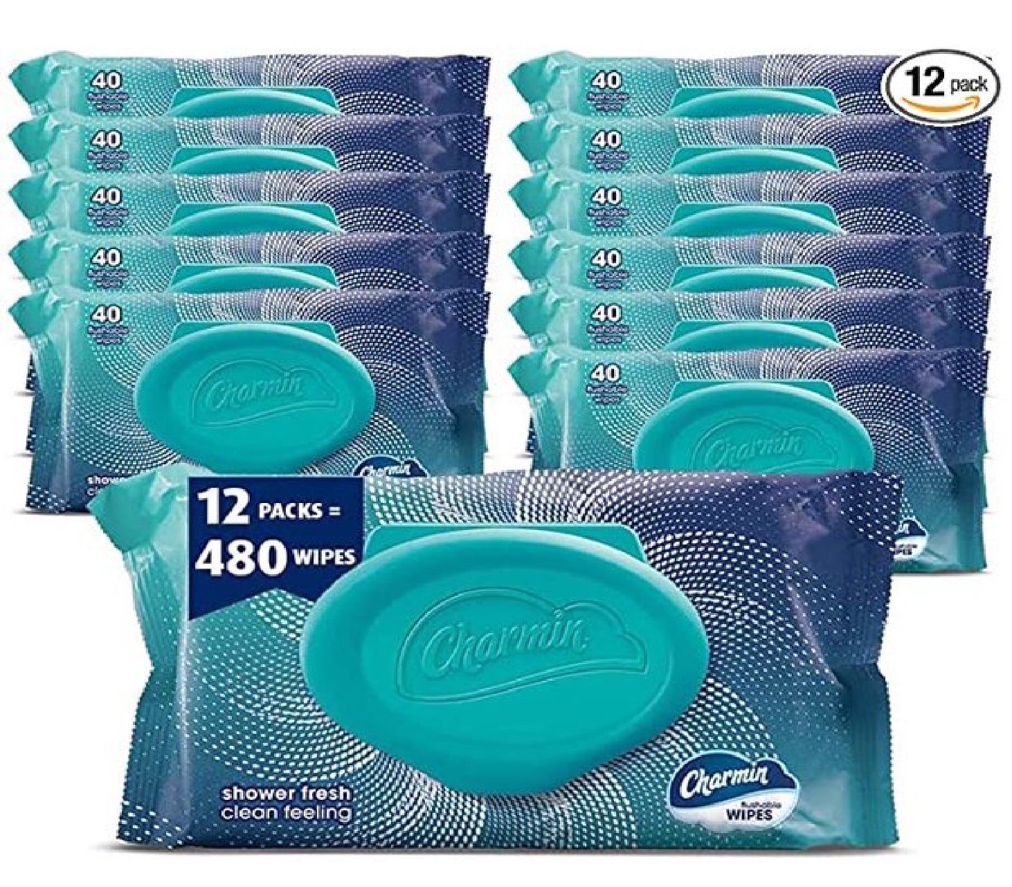 Charmin Flushable Wipes, 12 Packs of 40 Sheets, 480 Total, Re-Sealable ...