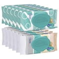Charmin Freshmates Flushable Unscented Wet Wipes, 12 Packs, 40 Sheets ...