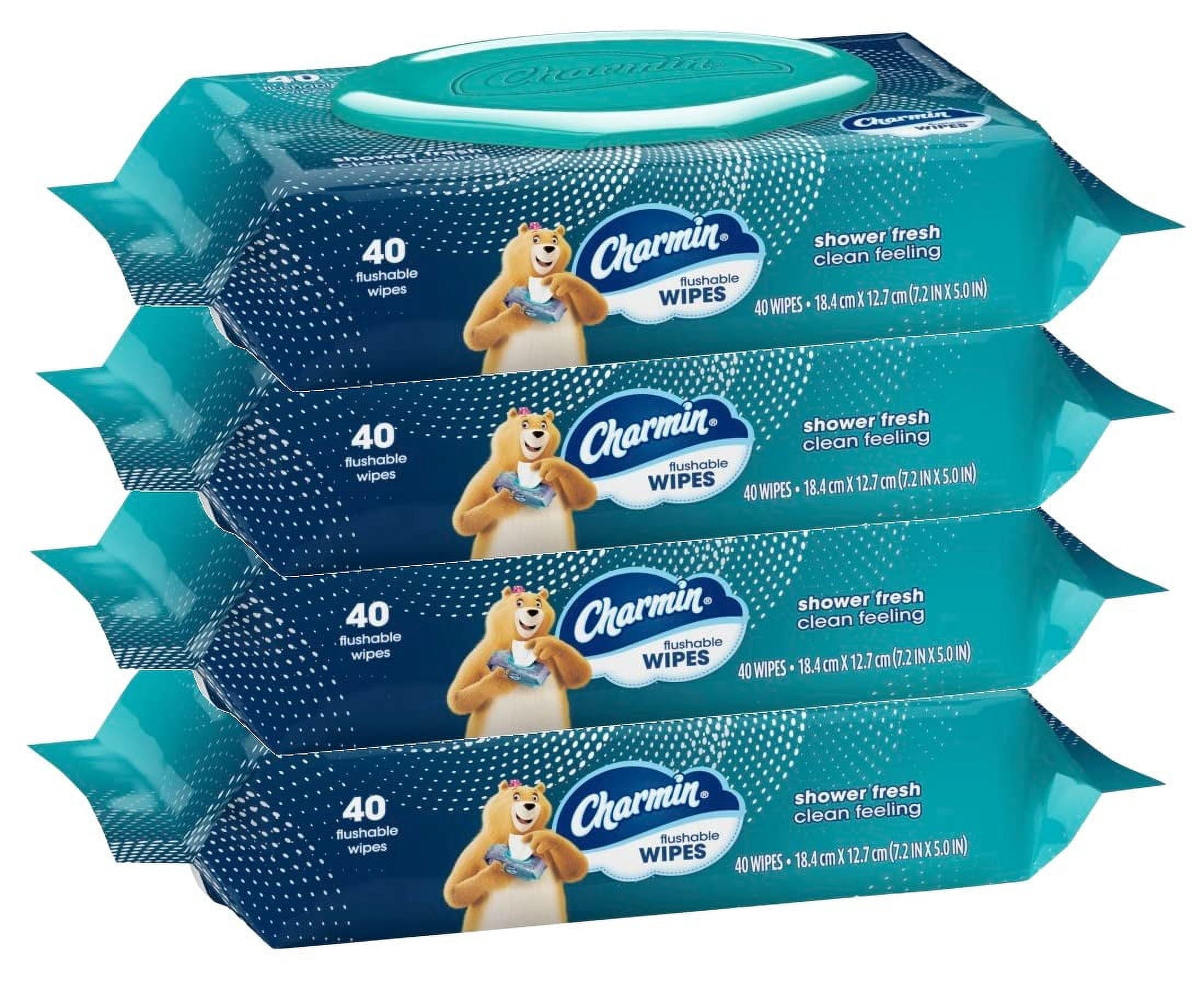 Charmin Adult Disposable Personal Wet Wipes, Freshmates Flushable Wipes ...