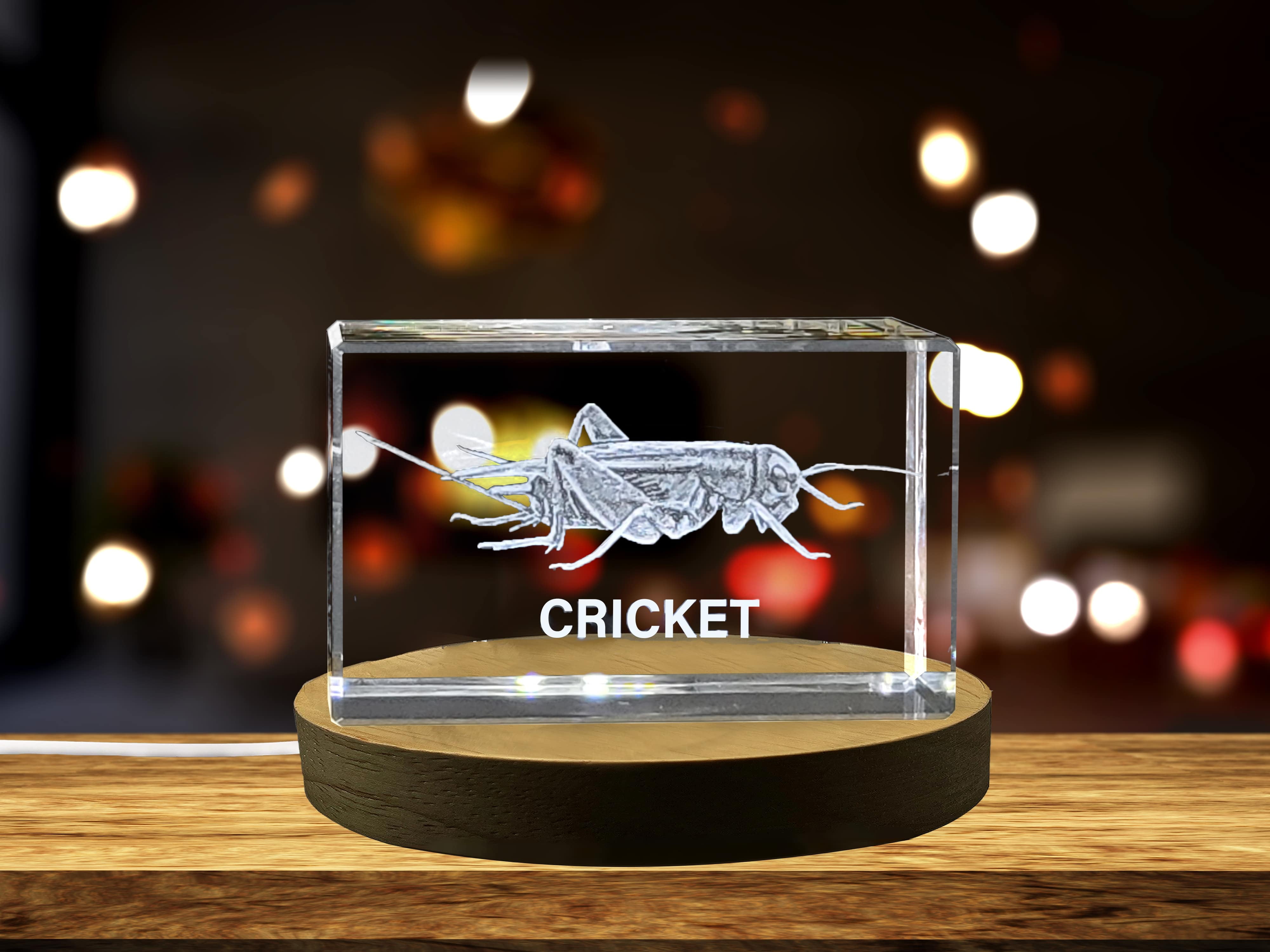 Charming 3D Engraved Crystal of a Playful Cricket - Perfect for Nature ...