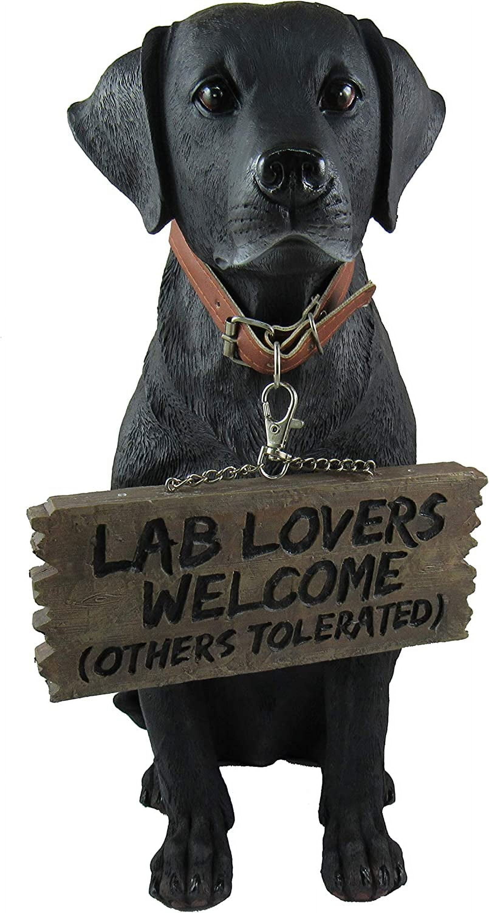 Charming Black Labrador Indoor Outdoor Welcome Statue: Lifelike Canine ...