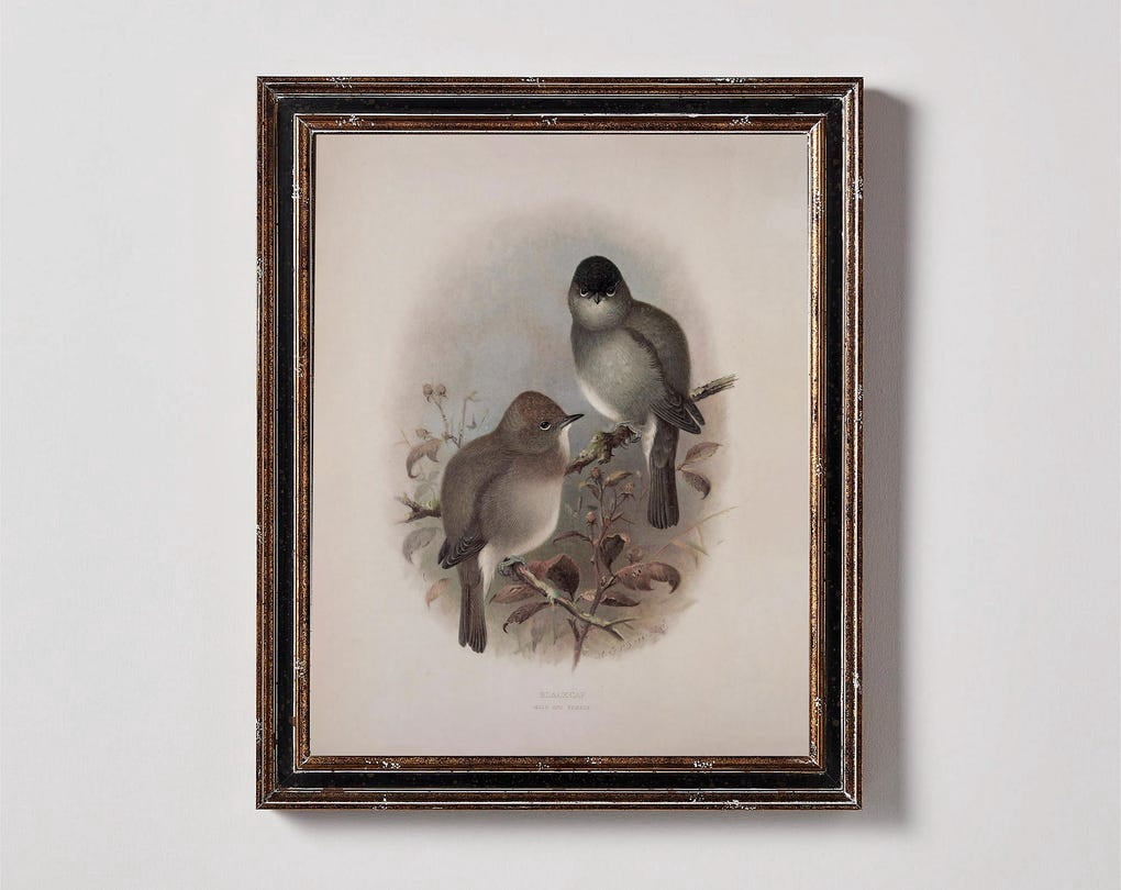 Charming Cottagecore Birds Wall Art Neutral Downloadable Print Print On ...